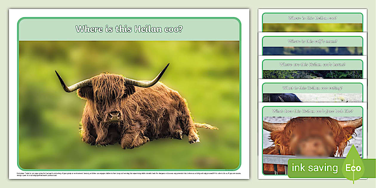 Heilan Coo Modelling Dough Mats (teacher made) - Twinkl