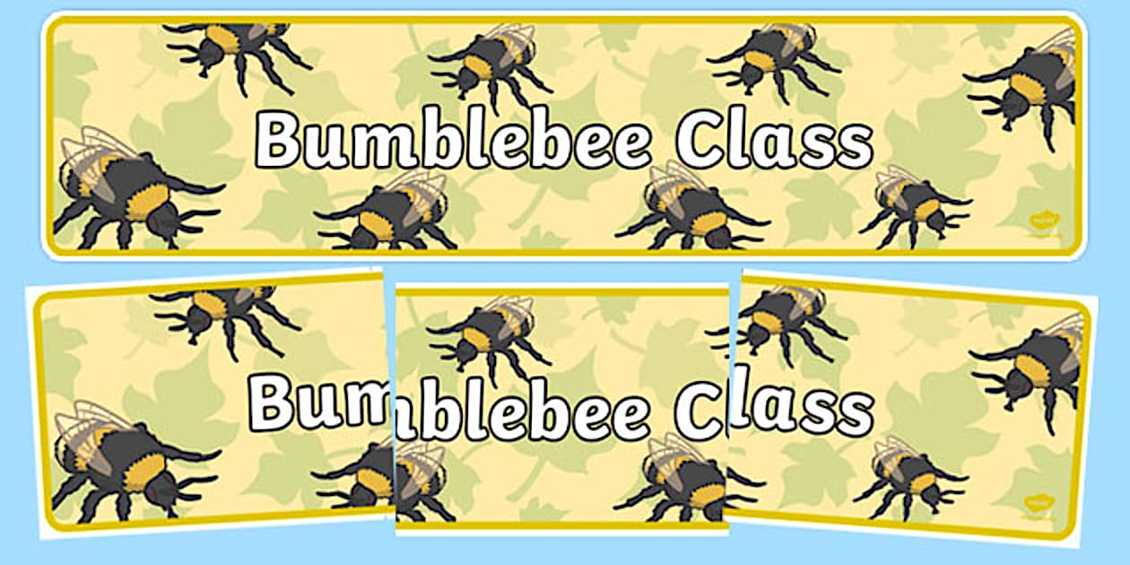Bumblebee Themed Classroom Display Banner (teacher made)