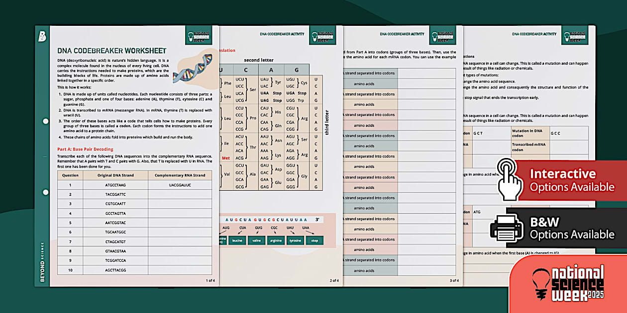 DNA Codebreaker Activity (teacher made) - Twinkl
