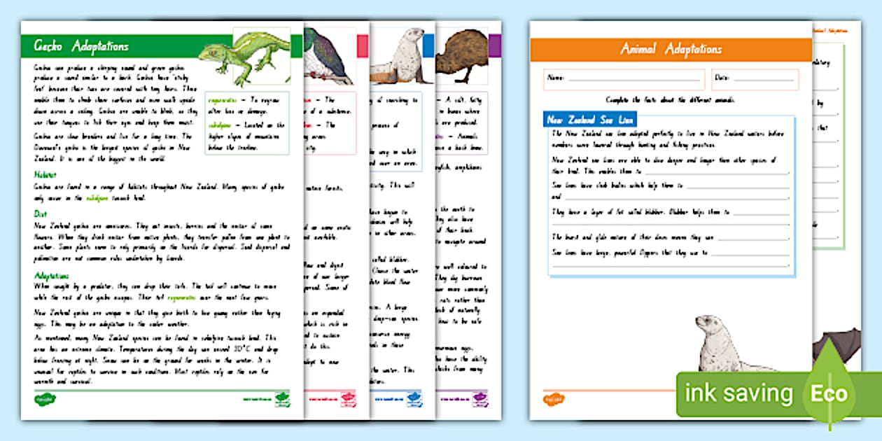 Animal Adaptation Fact Files and Writing Frames - Twinkl