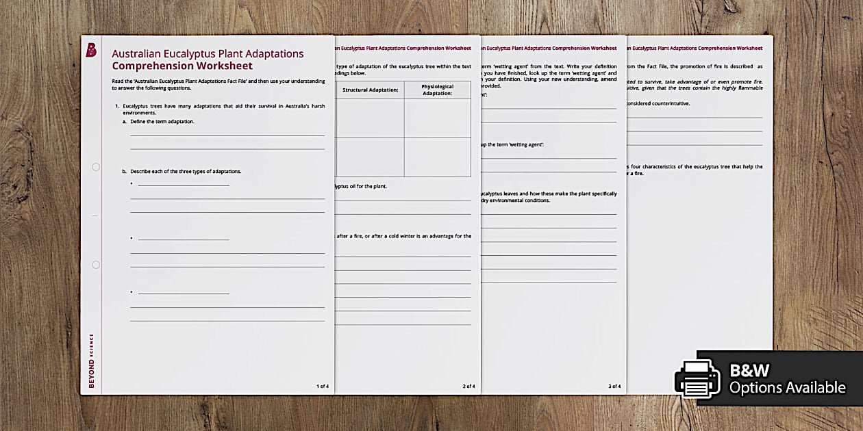 Australian Eucalyptus Plant Adaptations Differentiated Comprehension