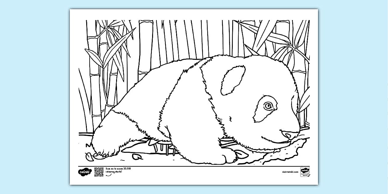 Baby Panda Colouring Sheet