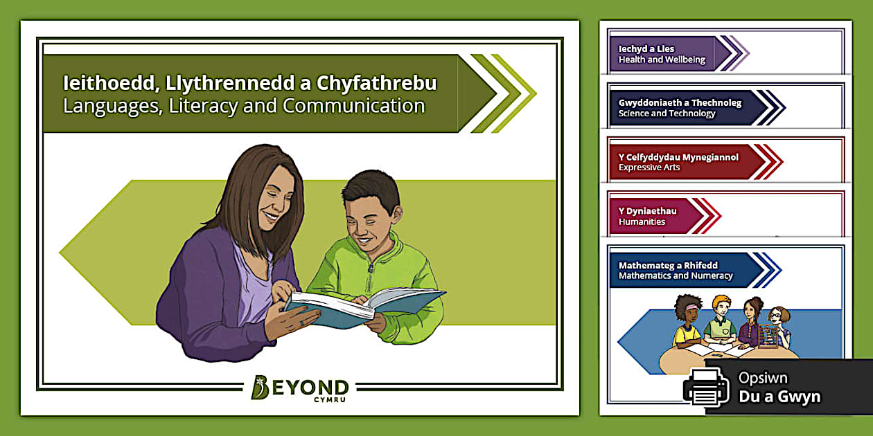 CfW: Secondary Bilingual AoLE Display Posters (teacher made)