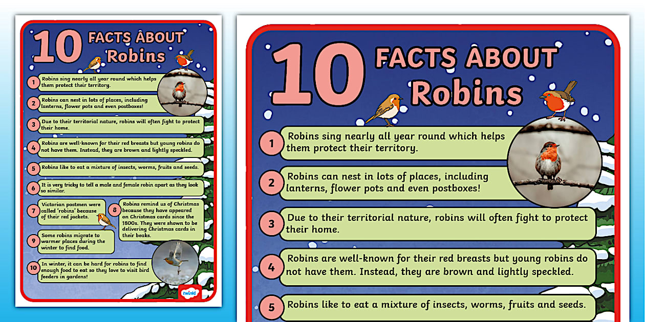 10 Facts About Robins Display Poster (Teacher-Made) - Twinkl