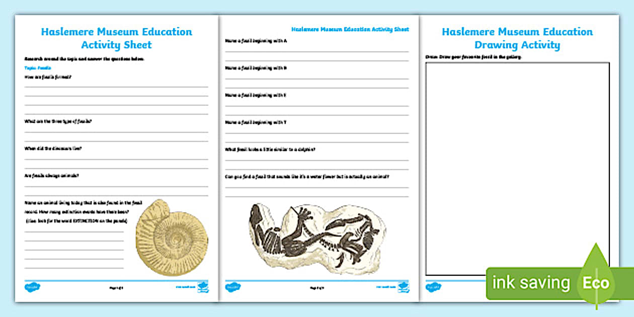 Haslemere Museum Fact Activity Sheets | Natural History