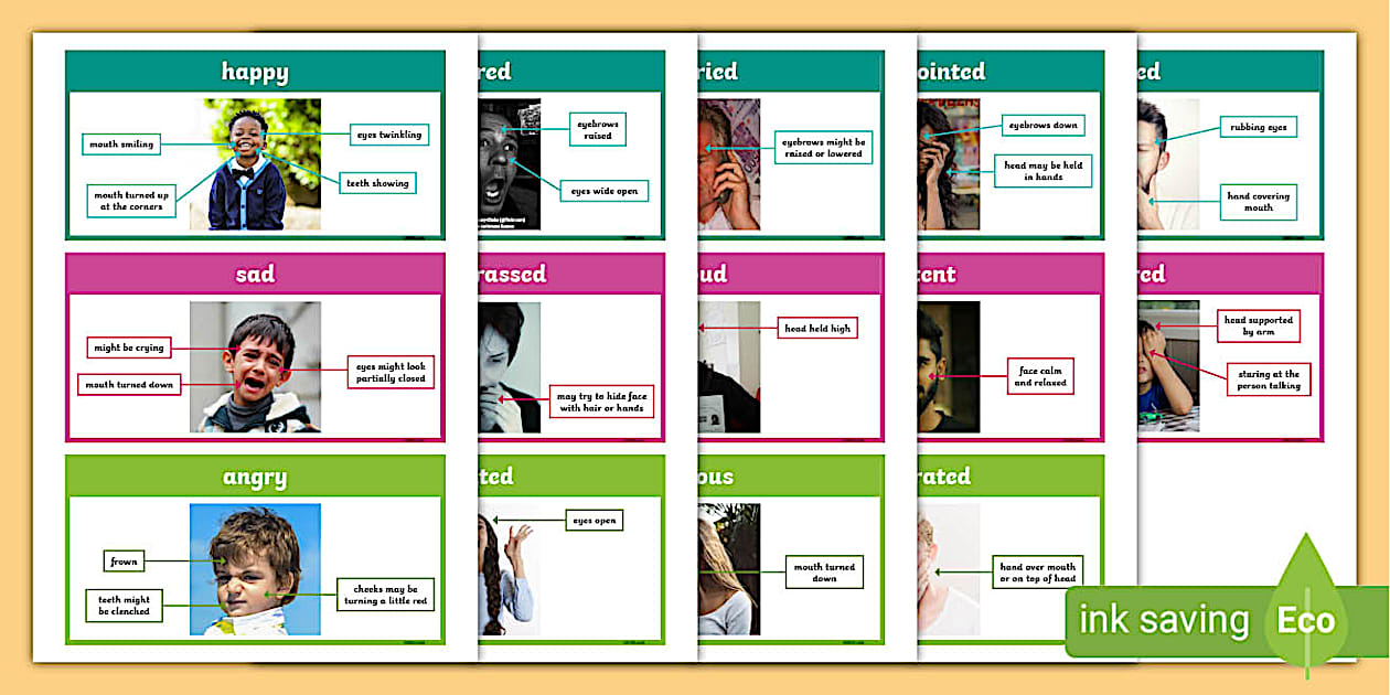 Editable Emotions Characteristics Photo Cards (teacher made)