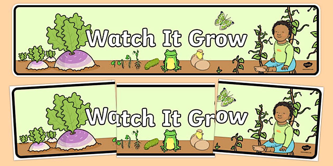 Watch It Grow Display Banner (teacher made) - Twinkl