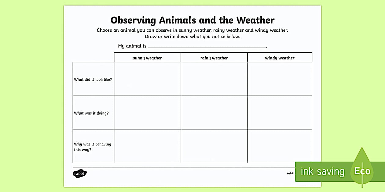 SA Observing Animals and the Weather Worksheet - Twinkl