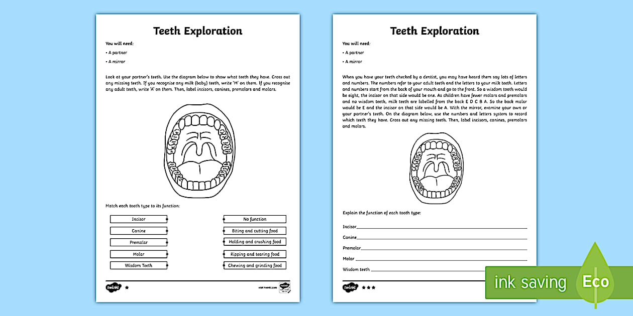 Lower Ability Teeth Exploration Worksheet - Twinkl