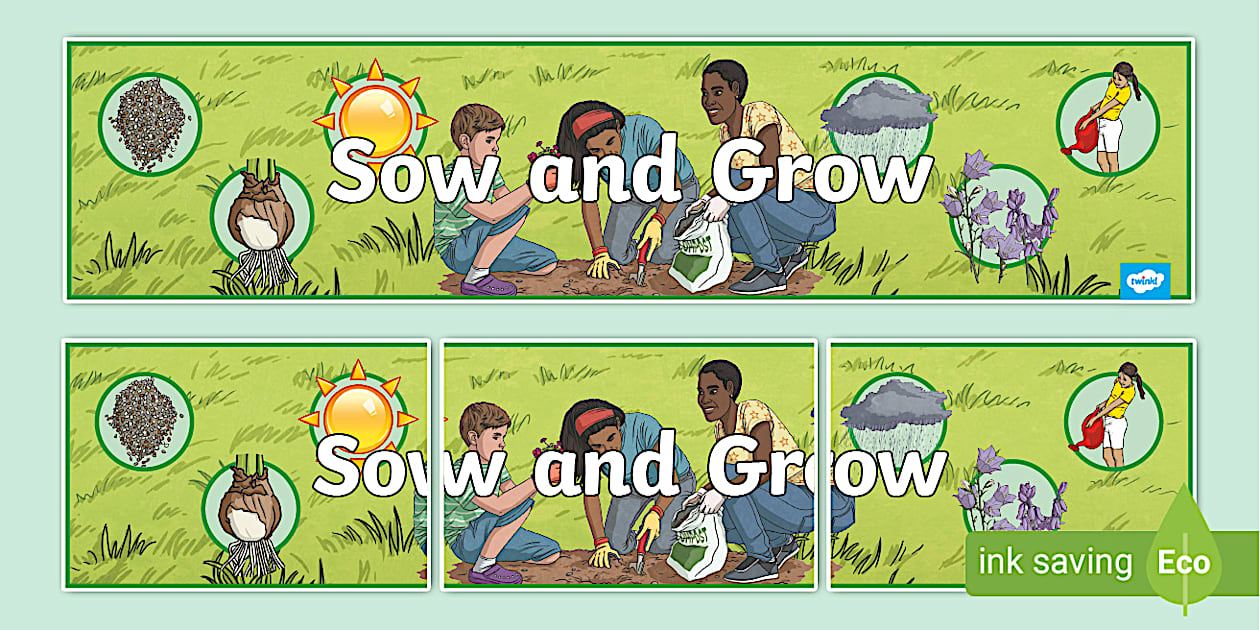 Sow and Grow Display Banner (teacher made) - Twinkl