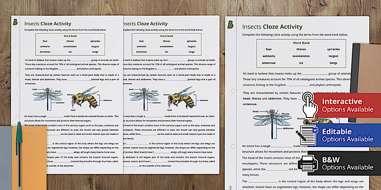 Insects Cloze Activity (teacher made) - Twinkl