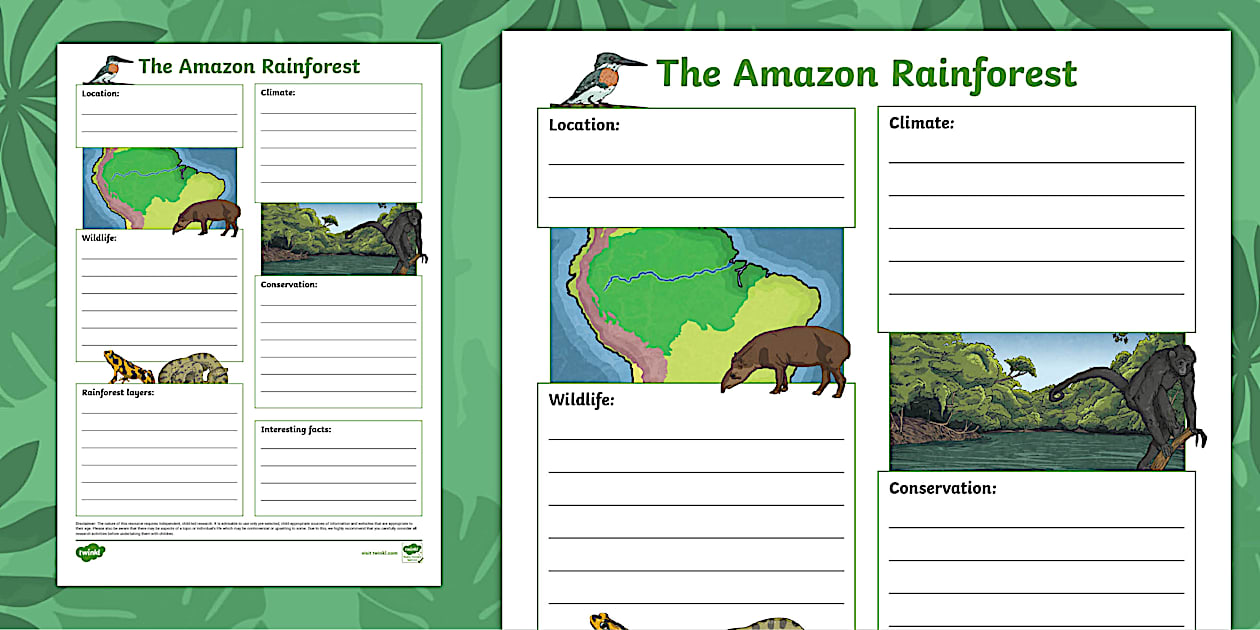 Amazon Rainforest Fact file Template (teacher made) - Twinkl
