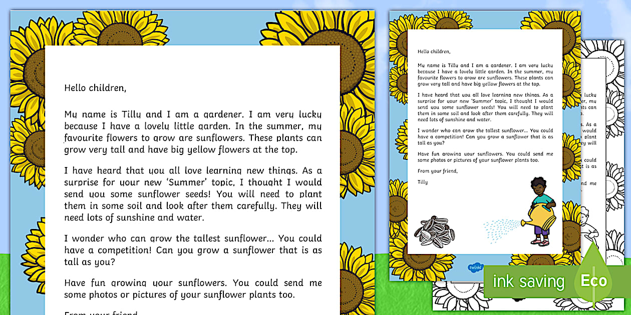 Growing Sunflowers Editable Letter (teacher made) - Twinkl