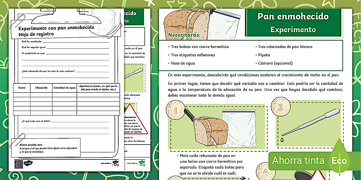 Experimento: Pan enmohecido