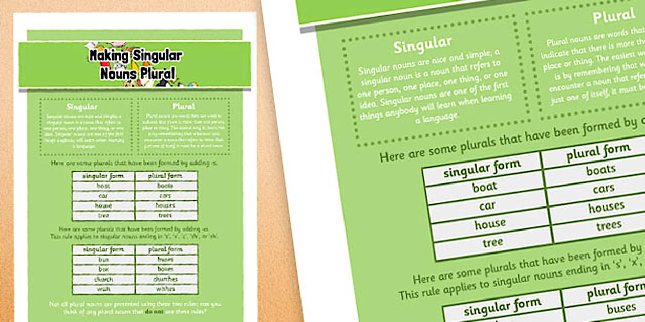 Singular and Plural Nouns Posters