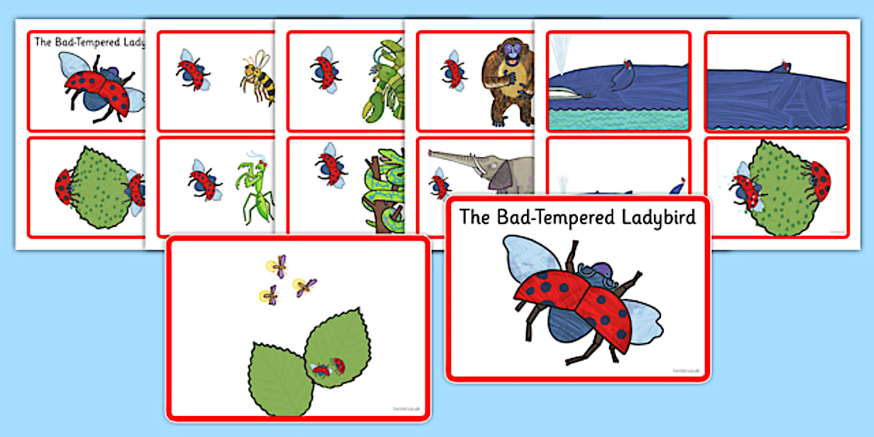 Story Sequencing Cards to Support Teaching on The Bad Tempered Ladybird