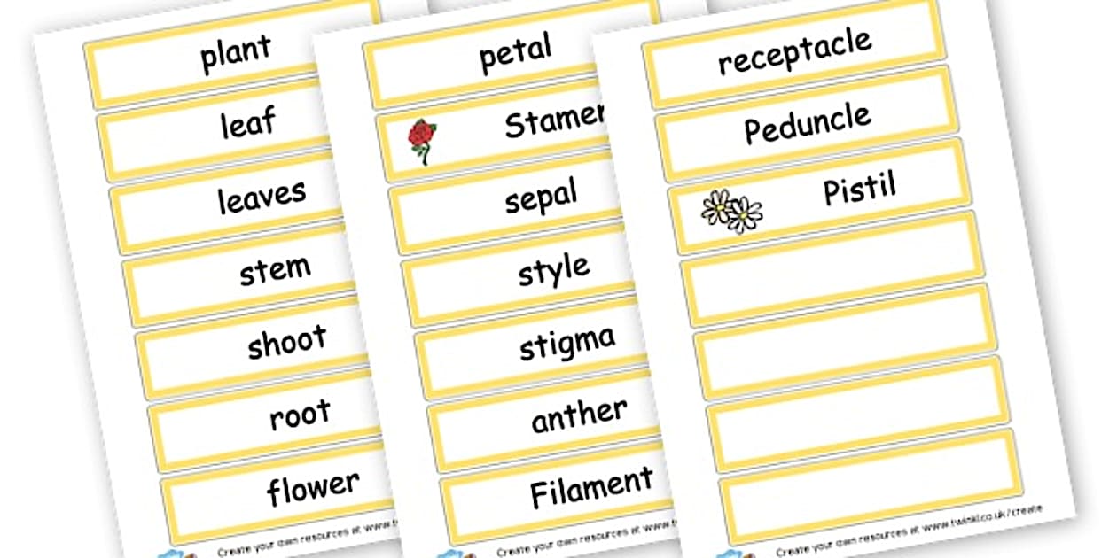 Plant/Flower List (professor feito) - Twinkl