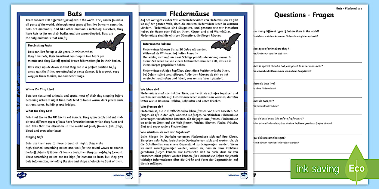 Bats Reading Comprehension Pack English/German - Twinkl