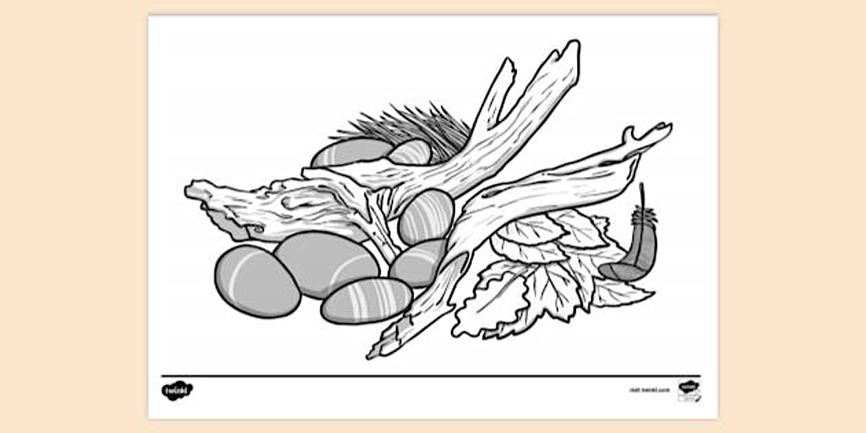 Natural Materials Colouring | Colouring Sheets - Twinkl