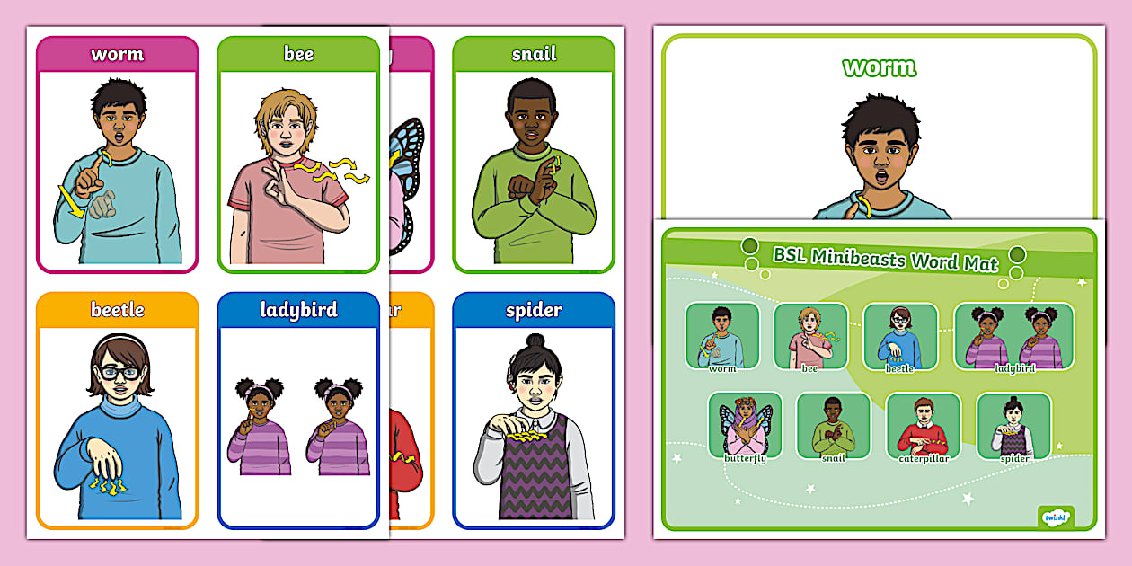 BSL Minibeasts Resource Pack (Hecho por educadores) - Twinkl