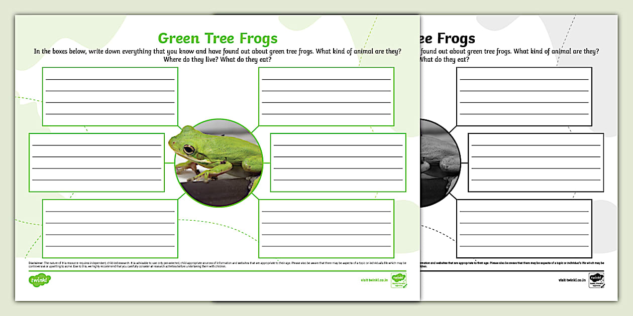 Green Tree Frog Mind Map (teacher made) - Twinkl
