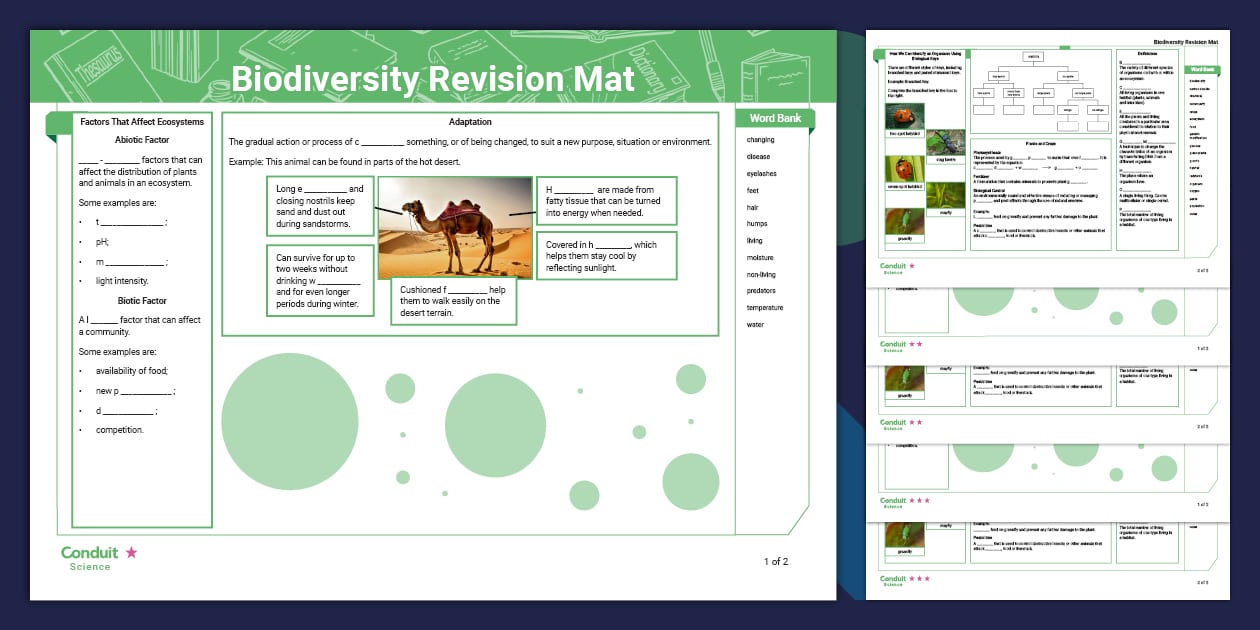 Biodiversity: Revision Mat (teacher made) - Twinkl