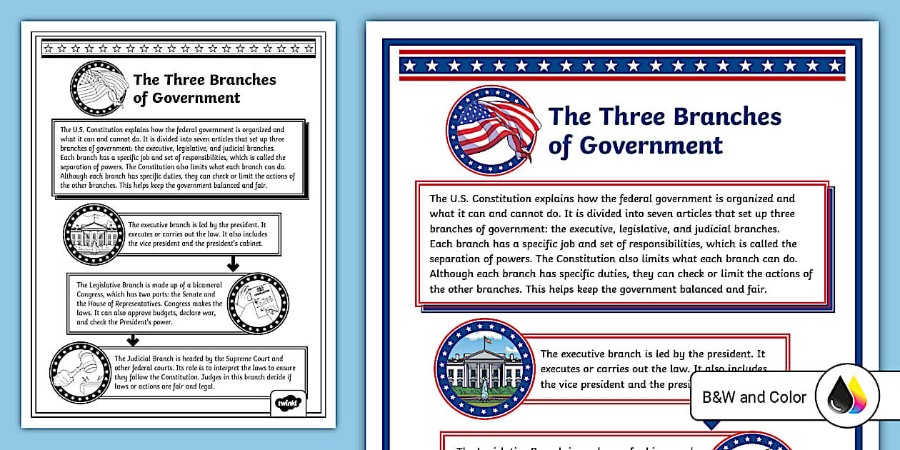 Three Branches of Government Poster for 6th-8th Grade