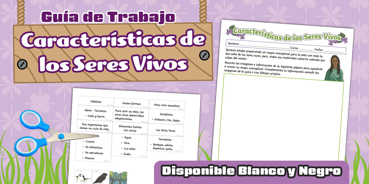 Mapa | Conceptual | Características | Seres Vivos