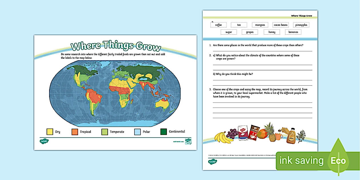 Where Food Comes From - Fairtrade Activity - KS2 - Twinkl