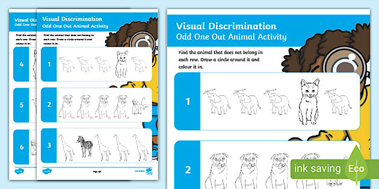 Visual Discrimination Odd One Out Animal Activity