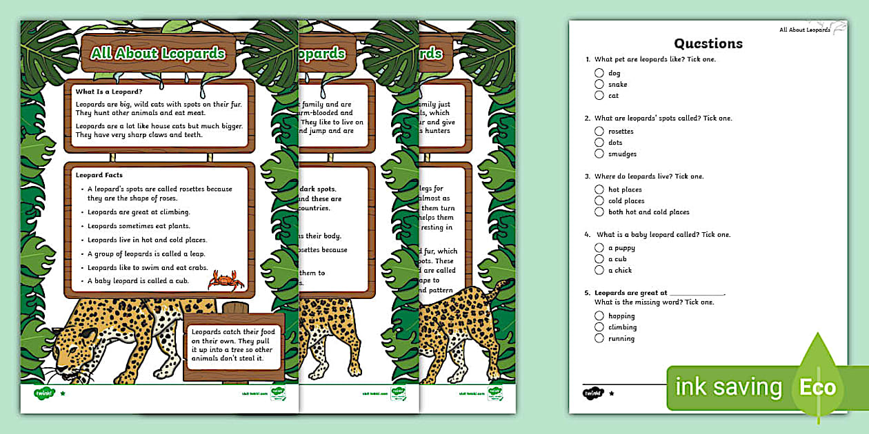 Year 2 Reading Comprehension PDF Worksheets | KS1 - Twinkl