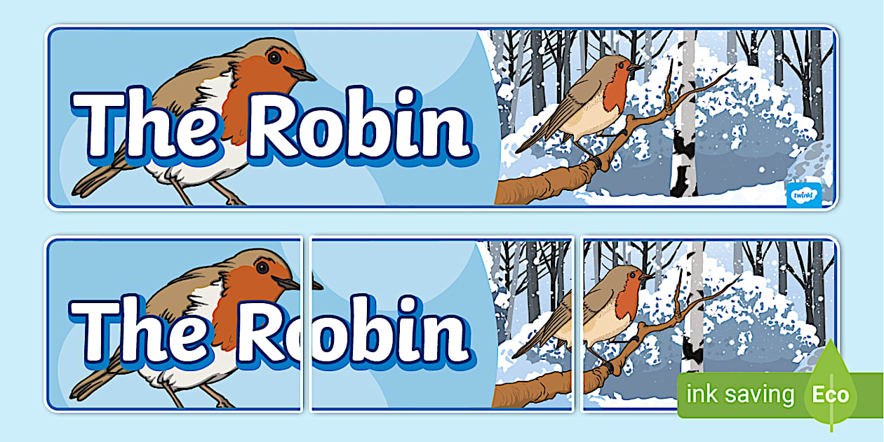 The Robin (Teacher-Made) - Twinkl