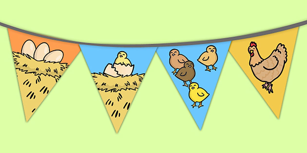 Chicken Life Cycle Bunting (teacher made) - Twinkl