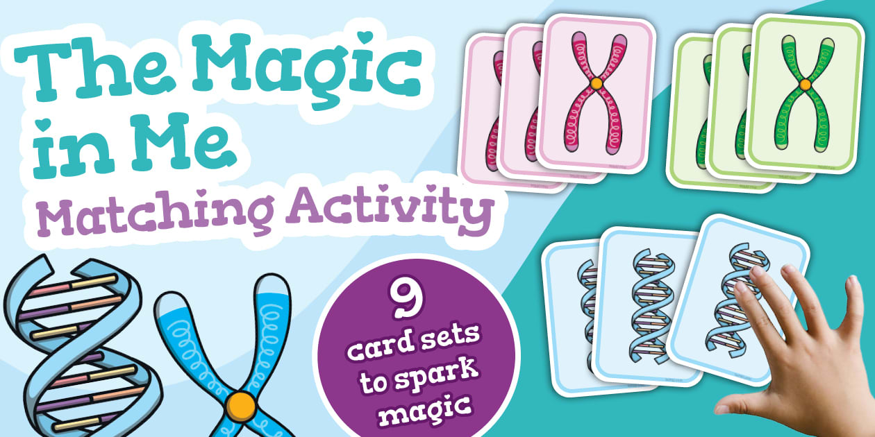 Magic in Me Matching Activity: Chromosome Fun
