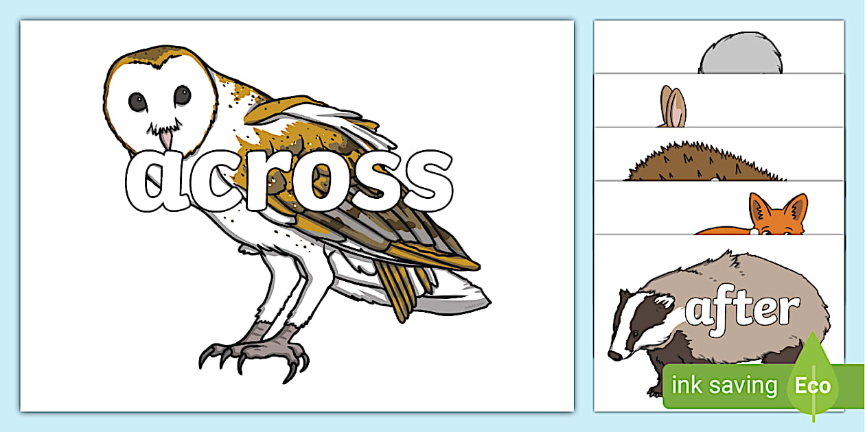 100 High Frequency Words on Woodland Animals Display Cut-Outs