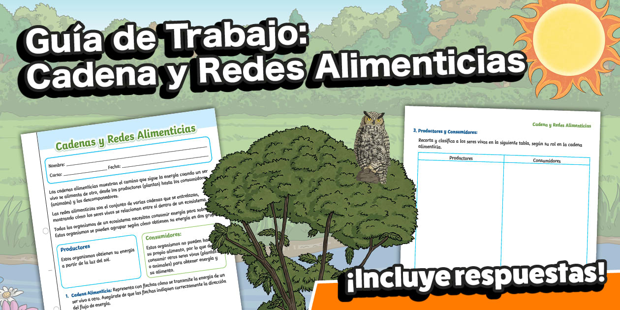 Guía | Trabajo | Cadenas | Redes | Alimenticias - Twinkl