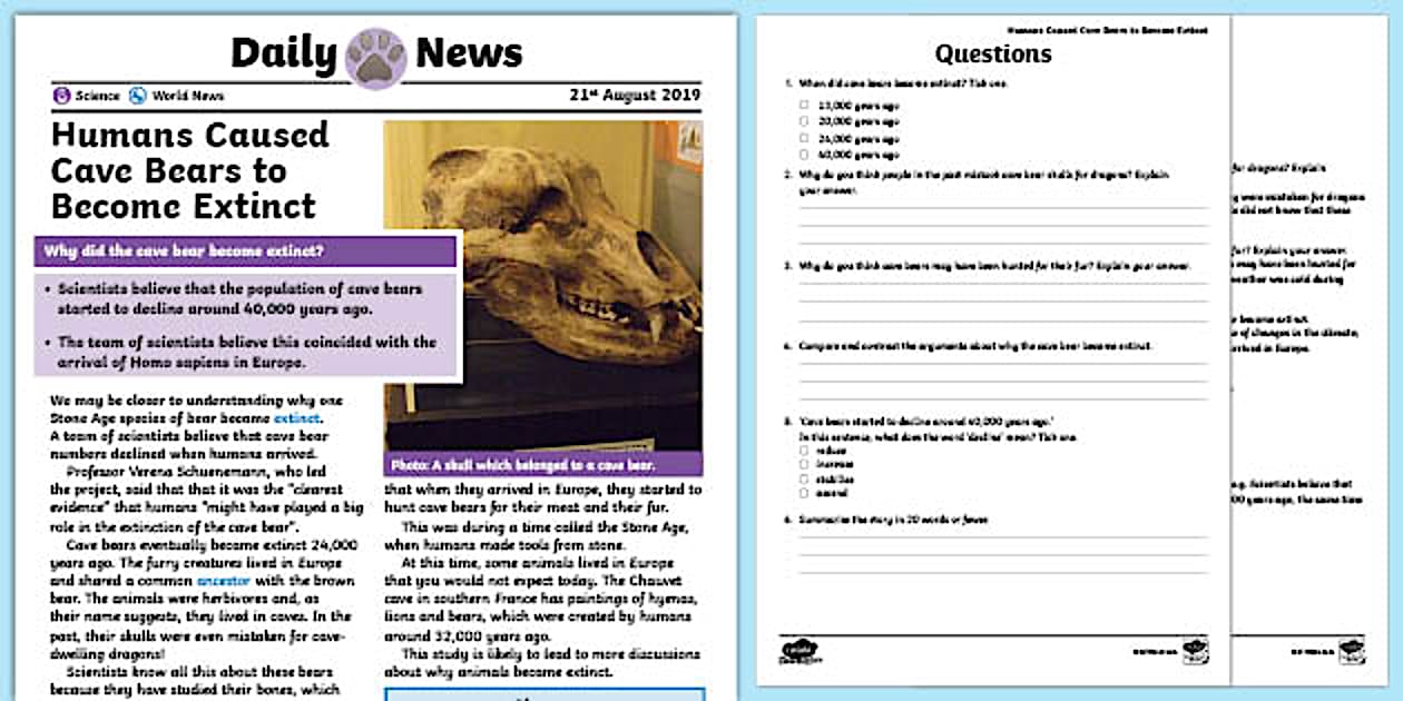 UKS2 Cave Bears Extinction in Stone Age Daily News Story