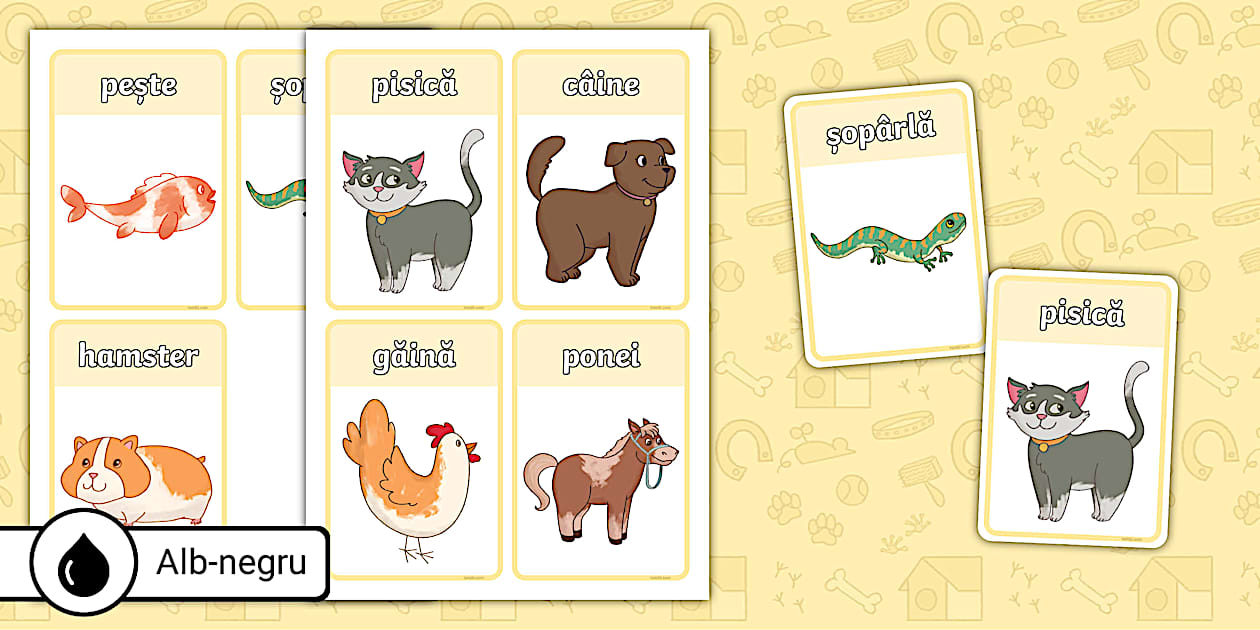 Animale de companie – Cartonașe cu vocabular - Twinkl