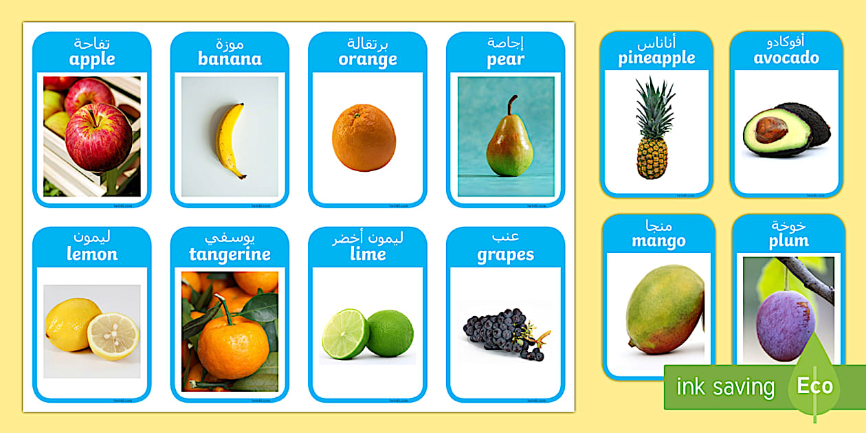 Fruit Photo Flashcards Arabic/English (teacher made)