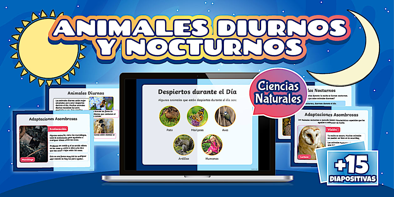PowerPoint | Animales | Diurnos | Nocturnos | 1° Básico