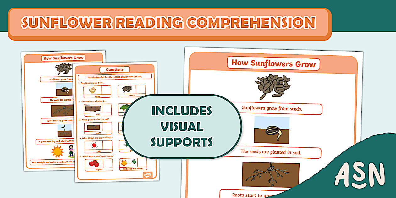 How Sunflowers Grow Comprehension with Visual Supports