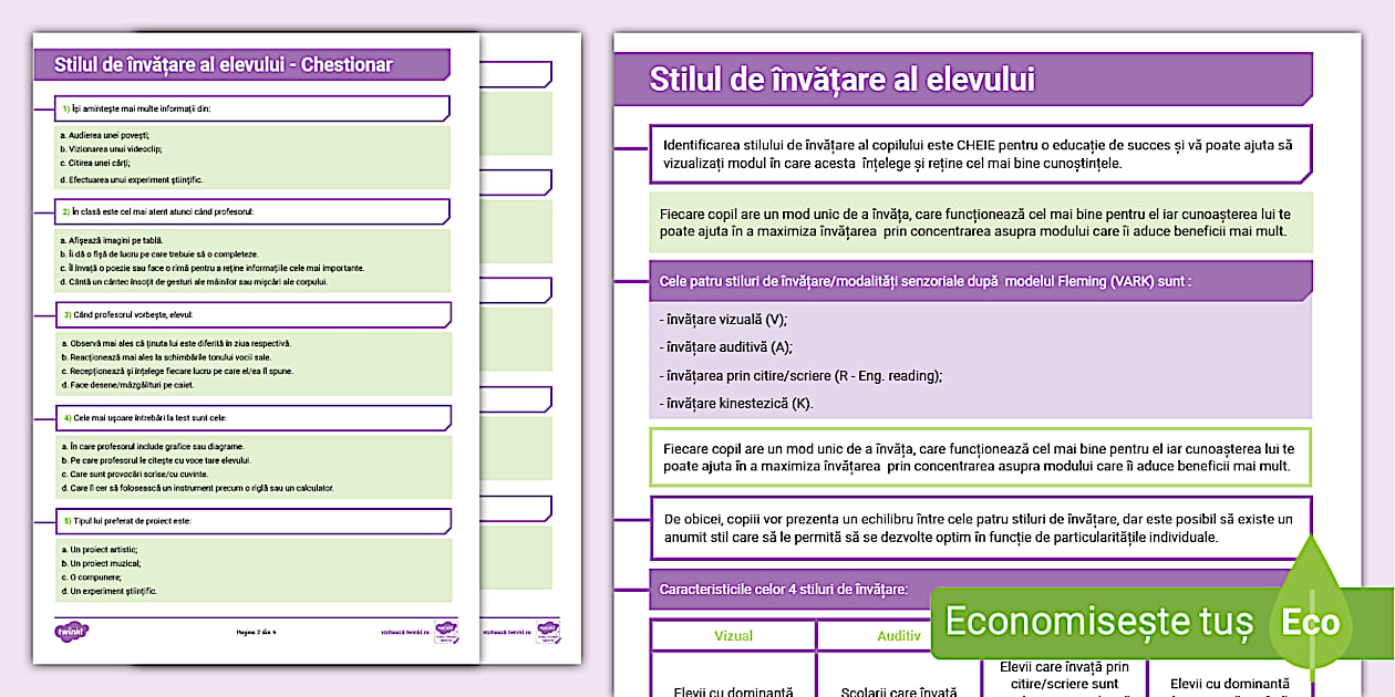 Chestionar stil de învățare elevi – Twinkl România