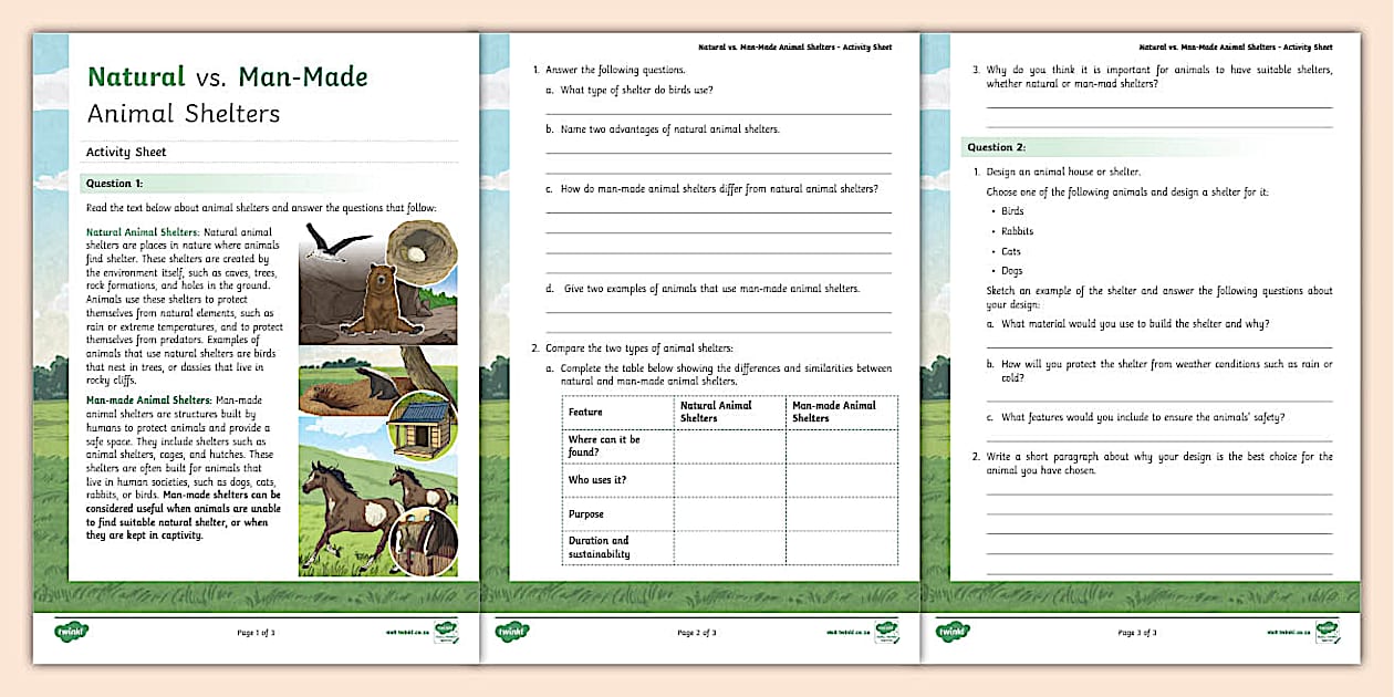 Natural vs. Man-Made Animal Shelters Activity Sheet - Twinkl