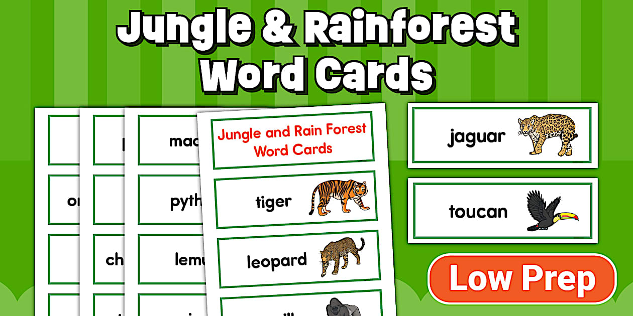 Jungle and Rainforest Word Cards