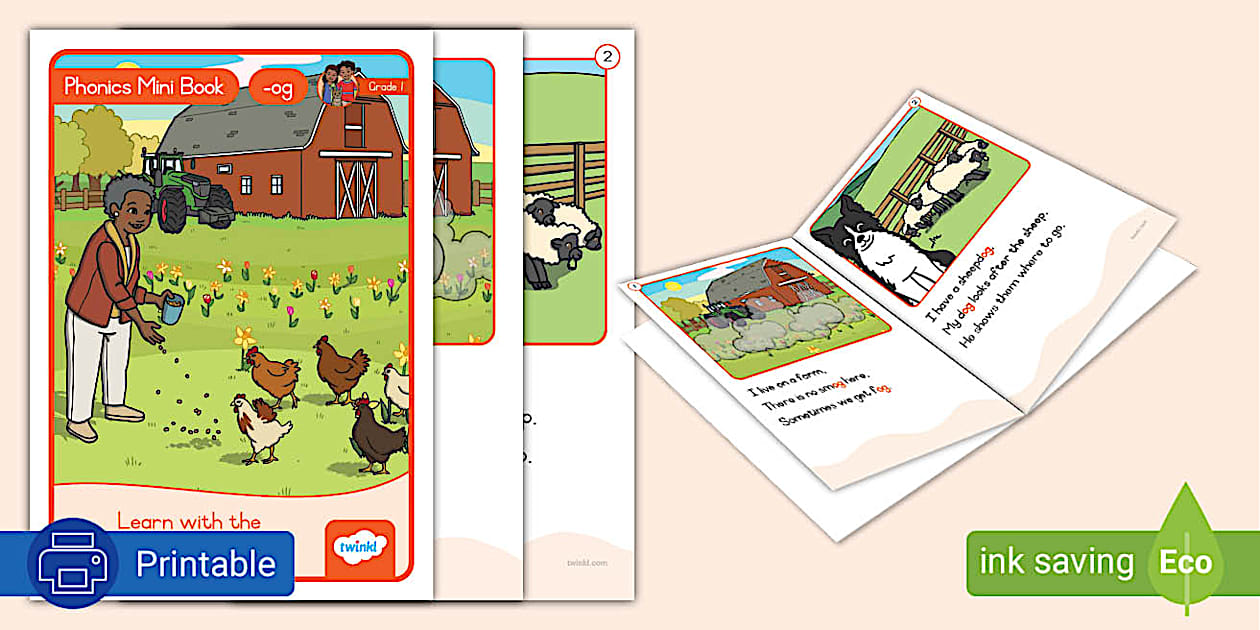 Grade 1 Mini Book: -og Words (teacher made) - Twinkl