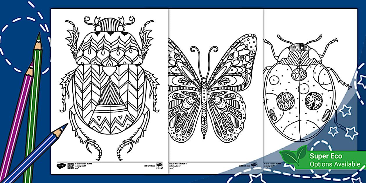 👉 Minibeast Mindfulness Colouring Pages