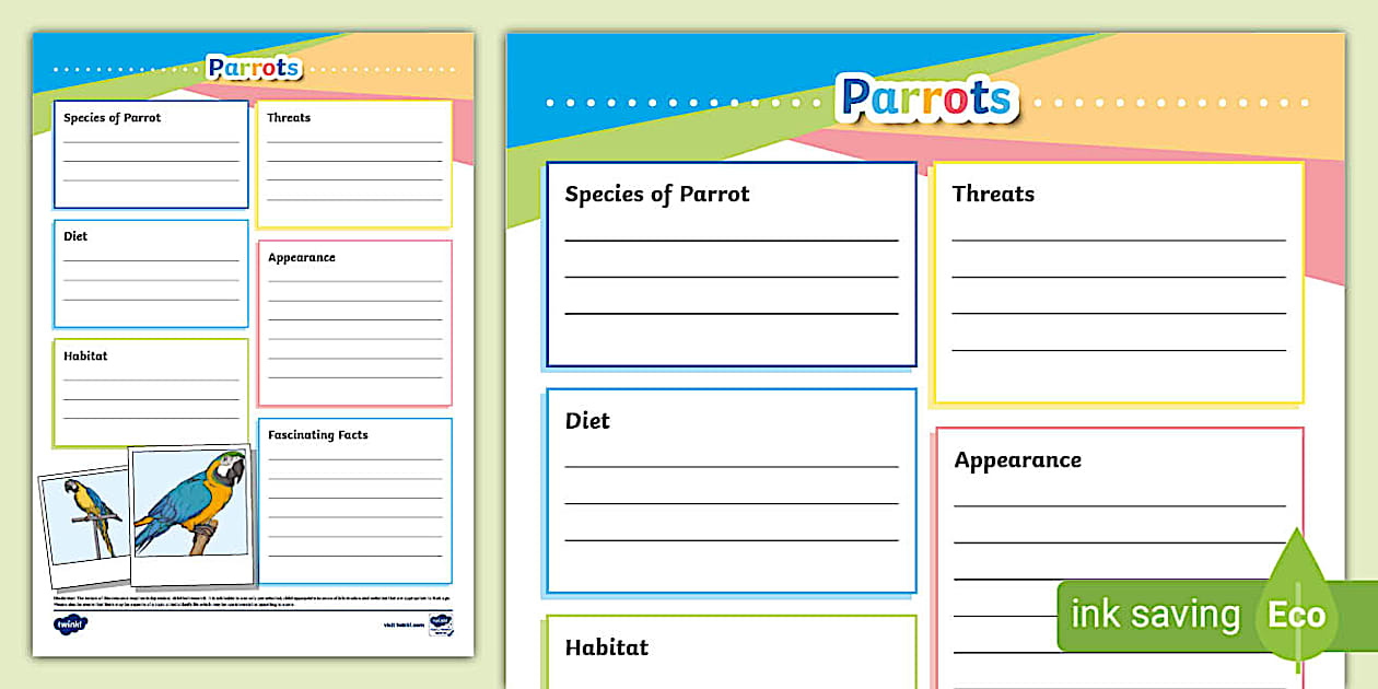Parrots Fact File Template - Twinkl - KS2 (teacher made)