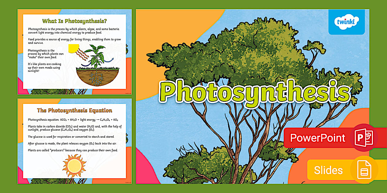 Photosynthesis PowerPoint & Google Slides for 6th-8th Grade
