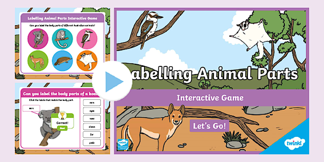 Labelling Animal Parts Interactive Game (teacher made)