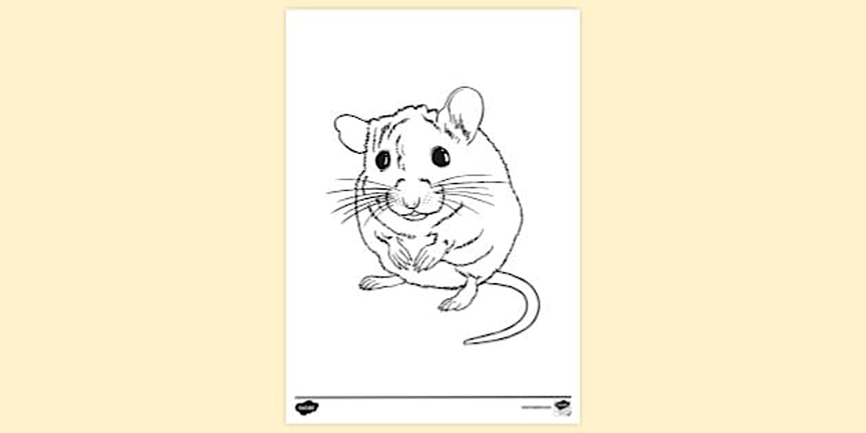 Mouse Colouring Sheet | Colouring Pages (teacher made)